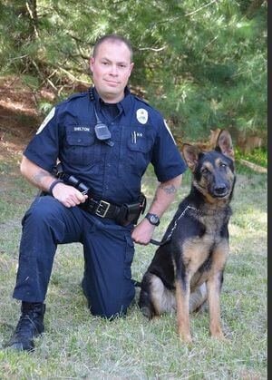 Throw Away Dogs Project Gives Canines New Lives In Southwest Virginia ...